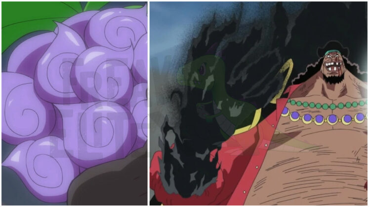 One Piece: las 10 Akuma no Mi más poderosas